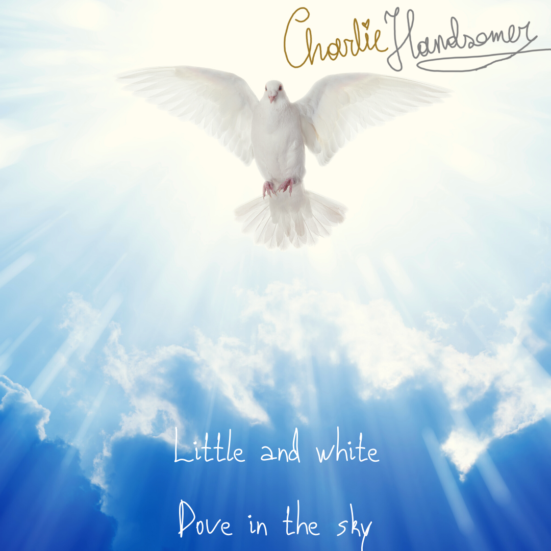 MultiArtysta.pl | Karol Juchniewicz | Artysta, Prezenter, Wokalista ...